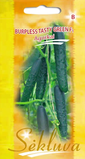 Agurkai Burpless Tasty Green ilgavaisiai 10s (B grupė) 10s - Agurkai ...